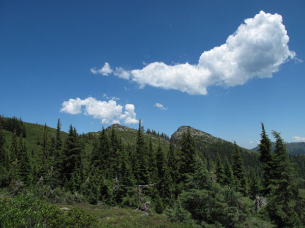 Above-Azalea-Lake - Bigfoot Trail