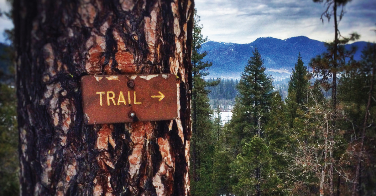 Hiking the Trail Archives - Page 2 of 3 - Bigfoot Trail