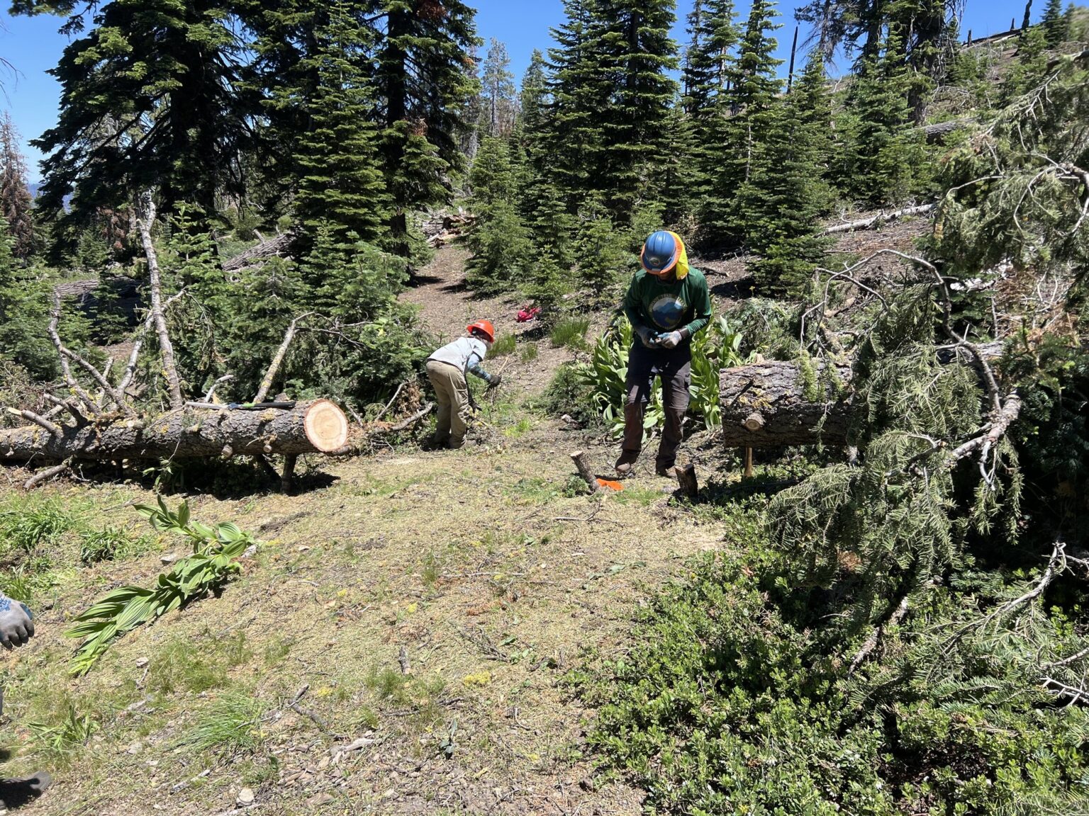 Yolla Bolly - Middle Eel Wilderness 2024 - Bigfoot Trail