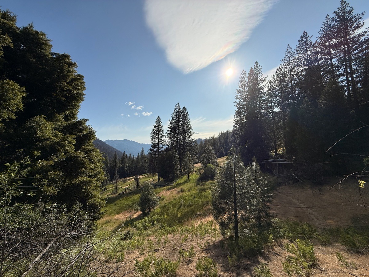 Bringing Back the McNeil Creek Trail - Bigfoot Trail